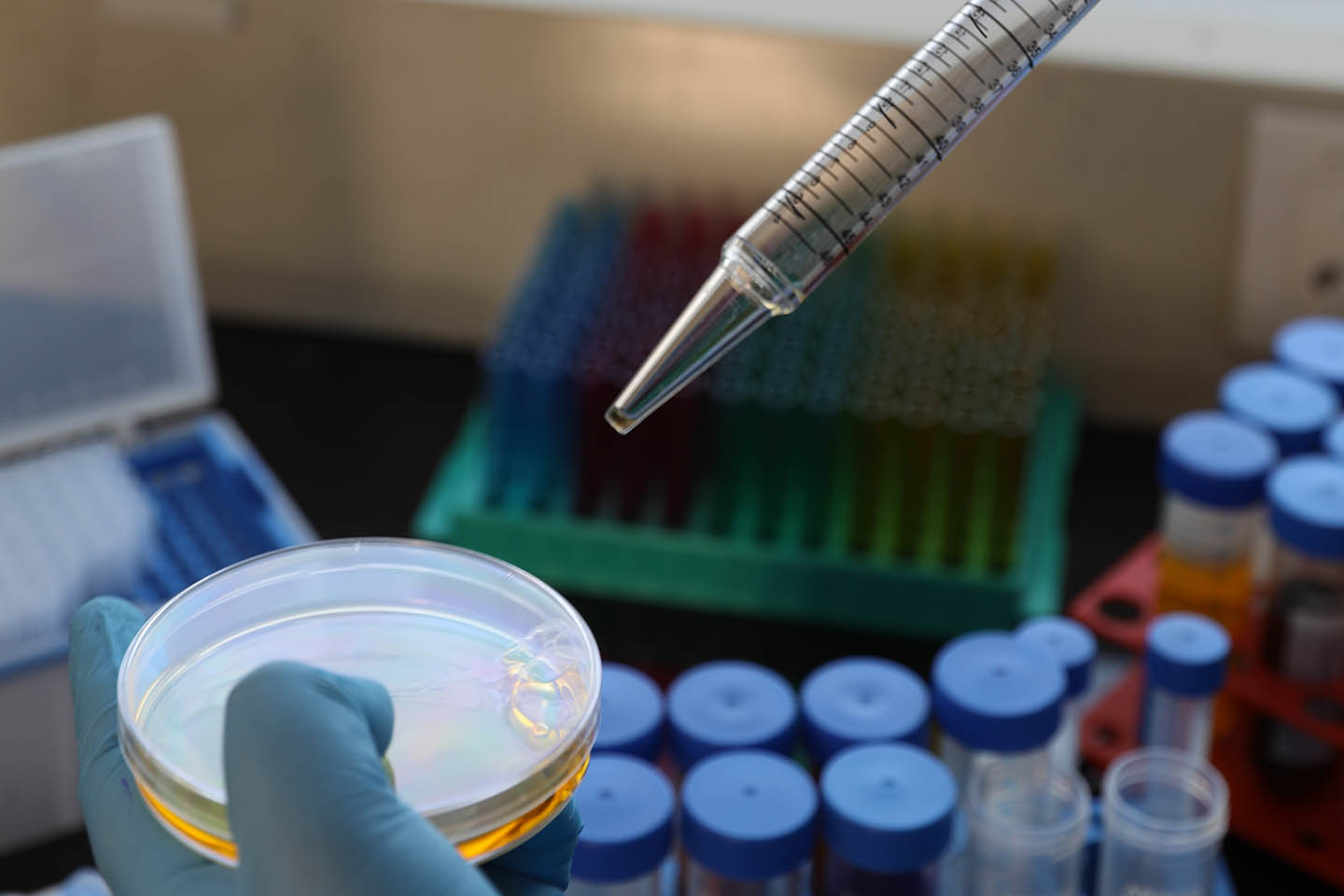 Techniques for maintaining, preparing, and using Pure Microbial ...