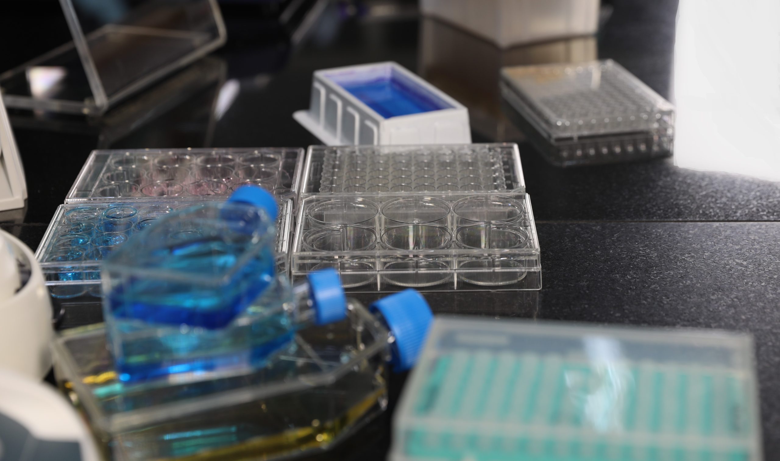 Revolutionizing Cell Culture: Latest Innovations and Solutions by Abdos ...
